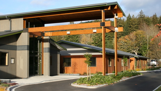 Interested in certification of your forests? | Forest Management